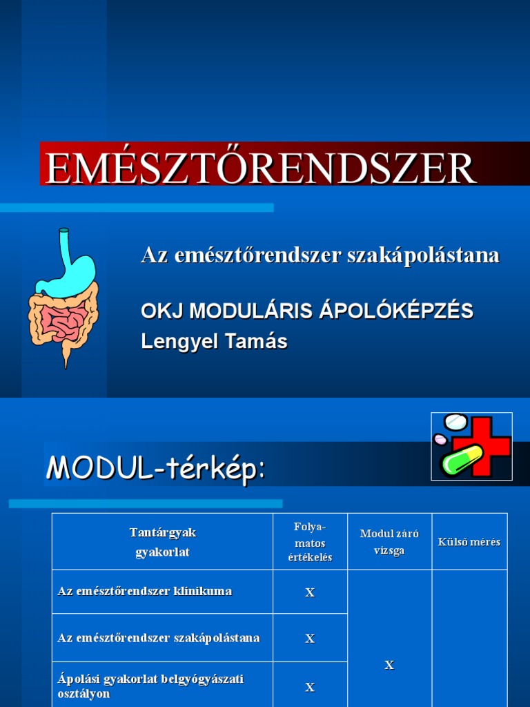Emésztés Modul Ismertetése | PDF