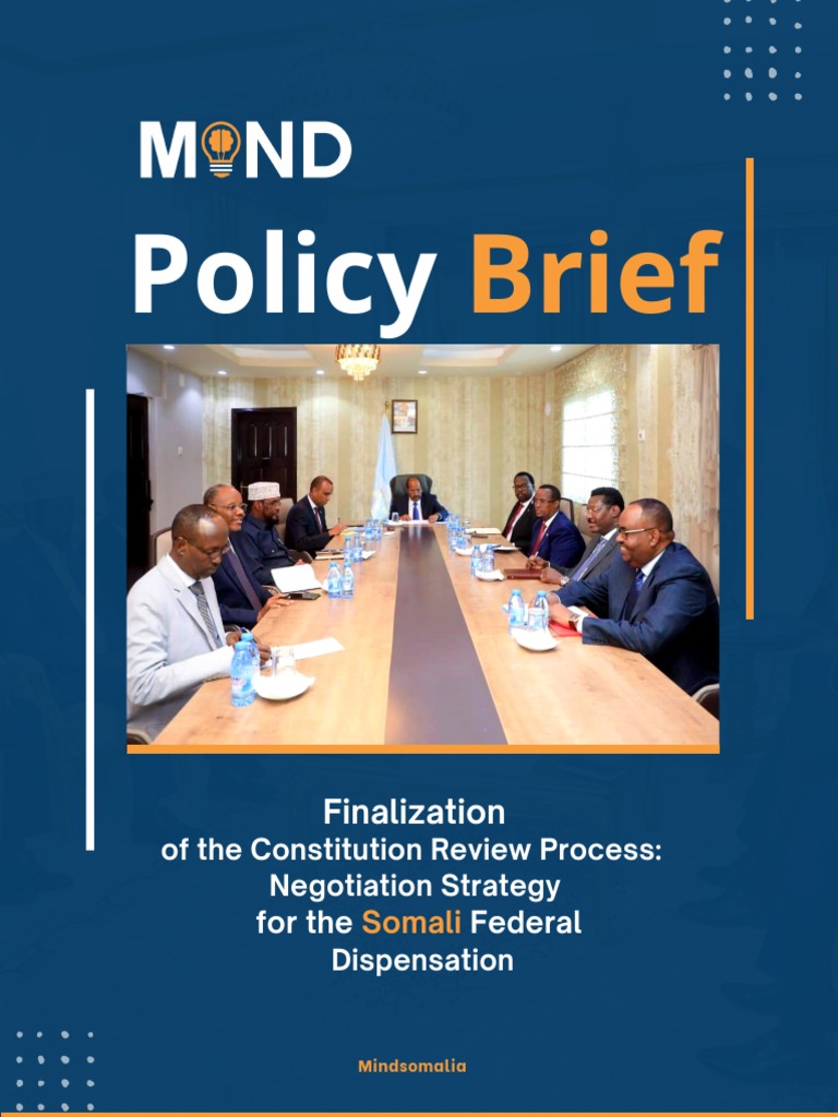 Finalization of The Constitution Review Process Negotiation Strategy ...