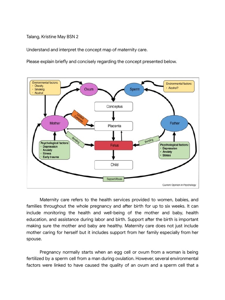 Concept Map of Maternity Care | PDF | Prenatal Development | Fertilisation