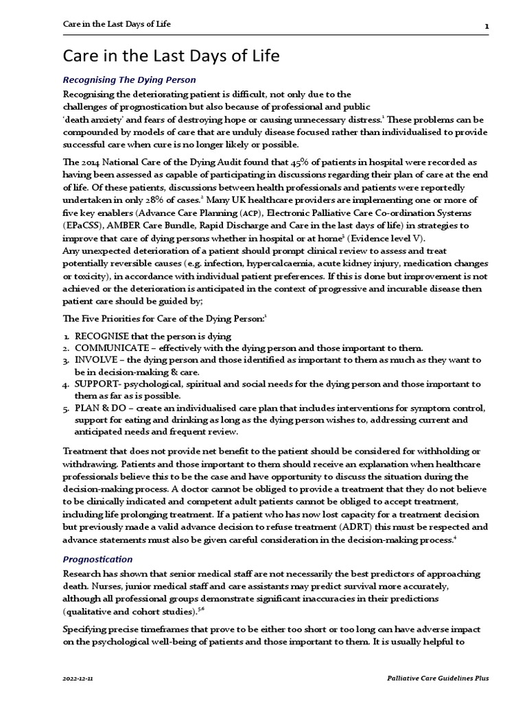 Care in The Last Days of Life: Recognising The Dying Person | PDF | End ...