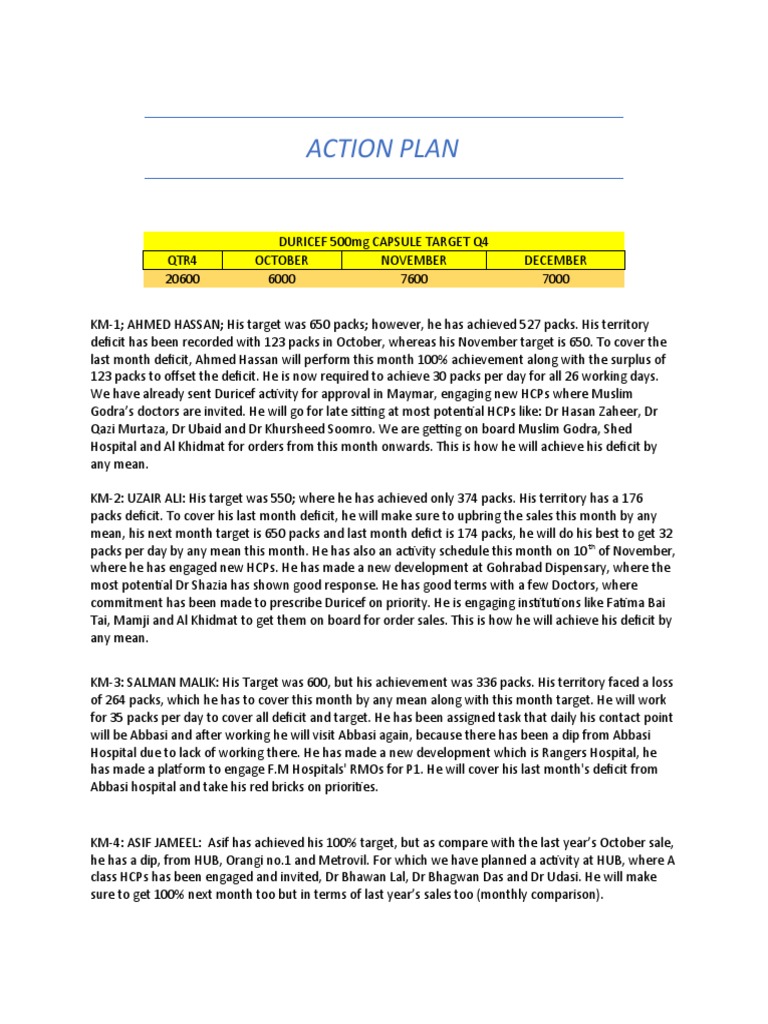 Action Plan | PDF