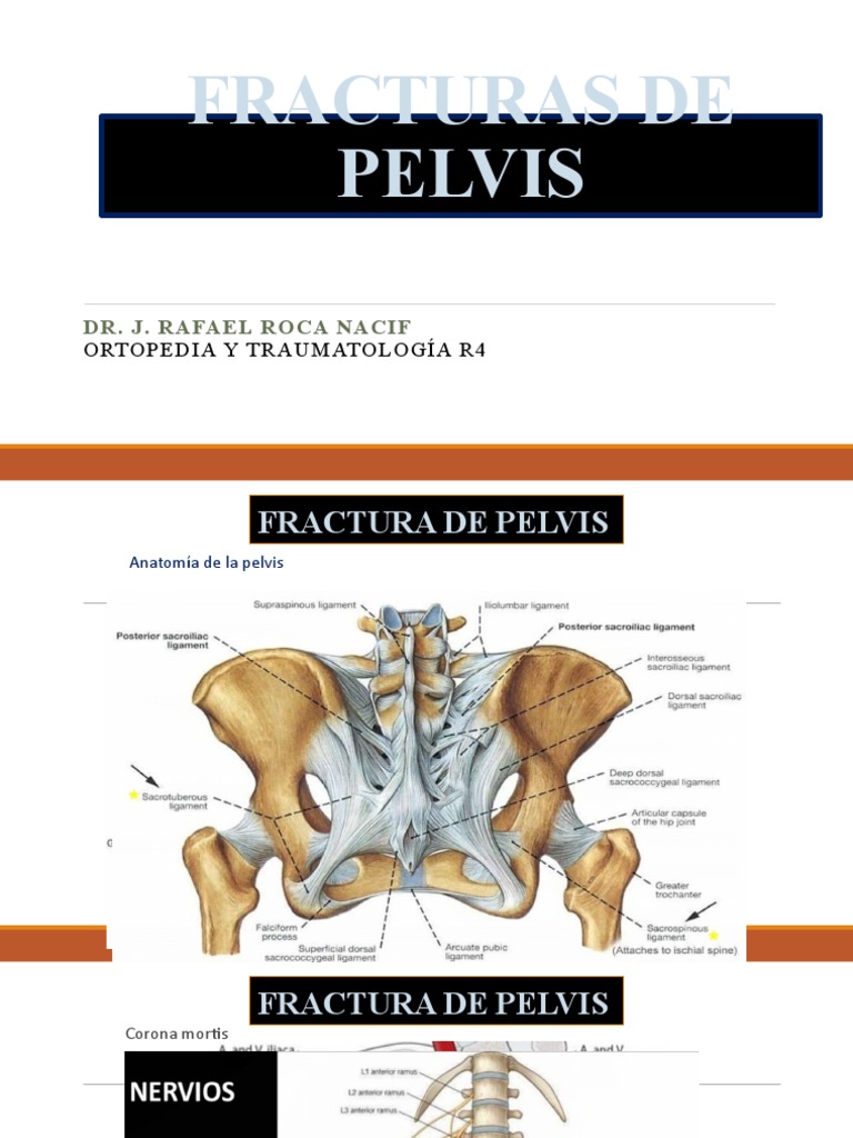 Fracturas de Pelvis | PDF | Pelvis | Enfermedades y trastornos