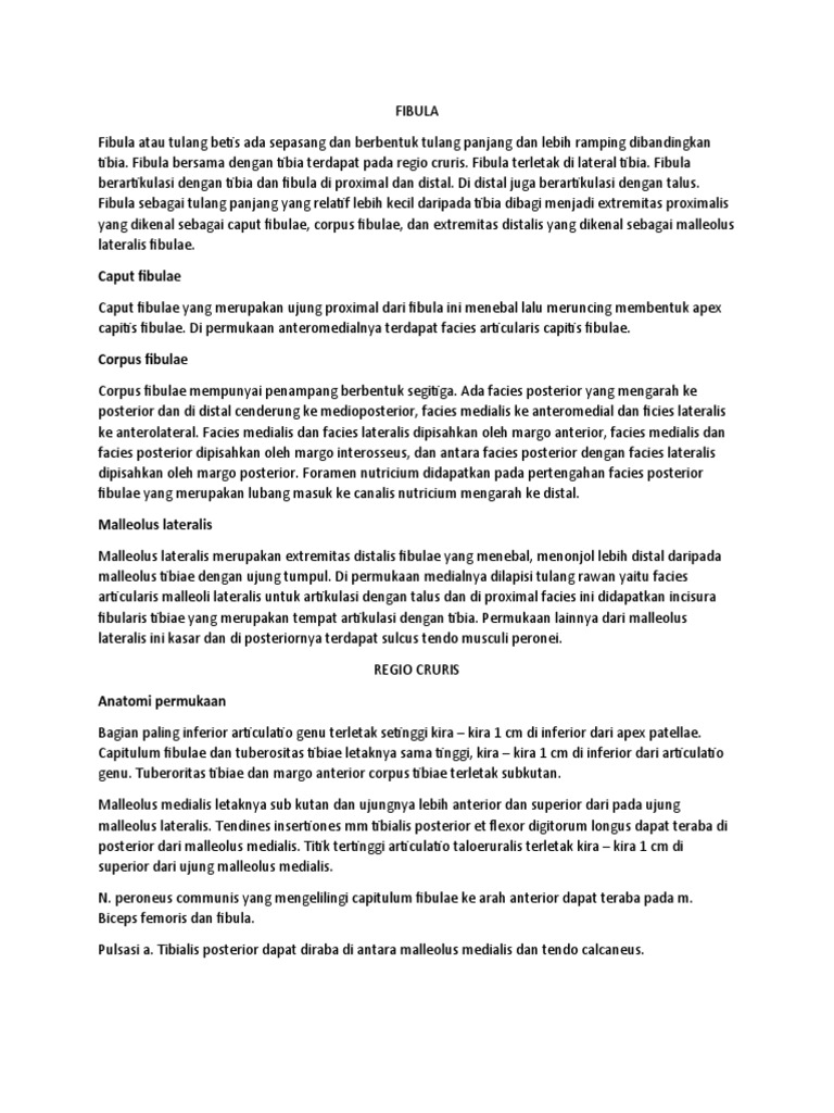 REGIO CRURIS ANATOMY | PDF
