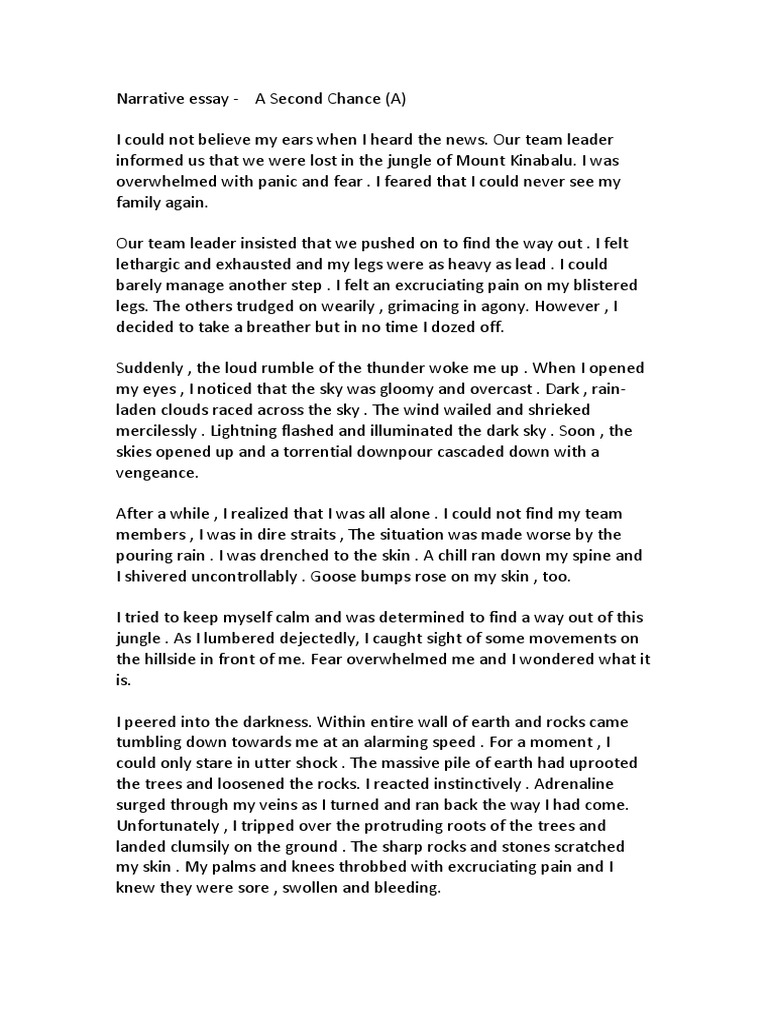 Narrative Essay - A Second Chance (A) | PDF