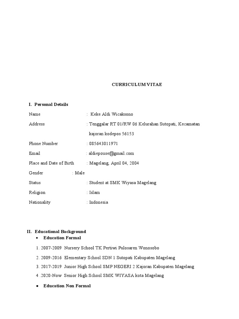 CV Keke Aldi | PDF