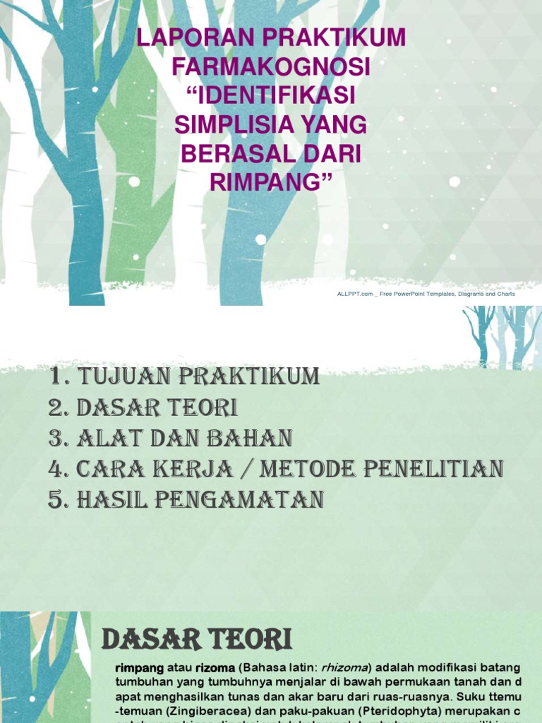 Identifikasi Simplisia Rimpang Temulawak | PDF