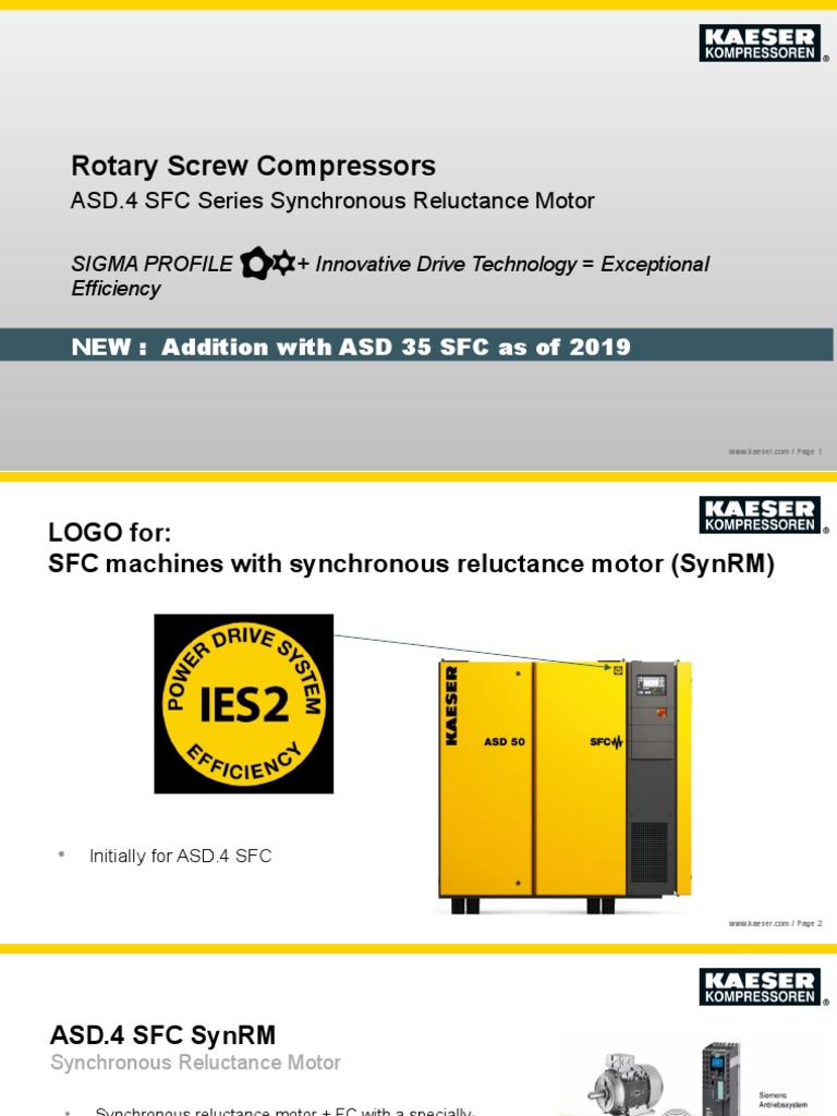 ASD CSDX SFC Synchronous Reluctance Motor | PDF | Electric Motor ...