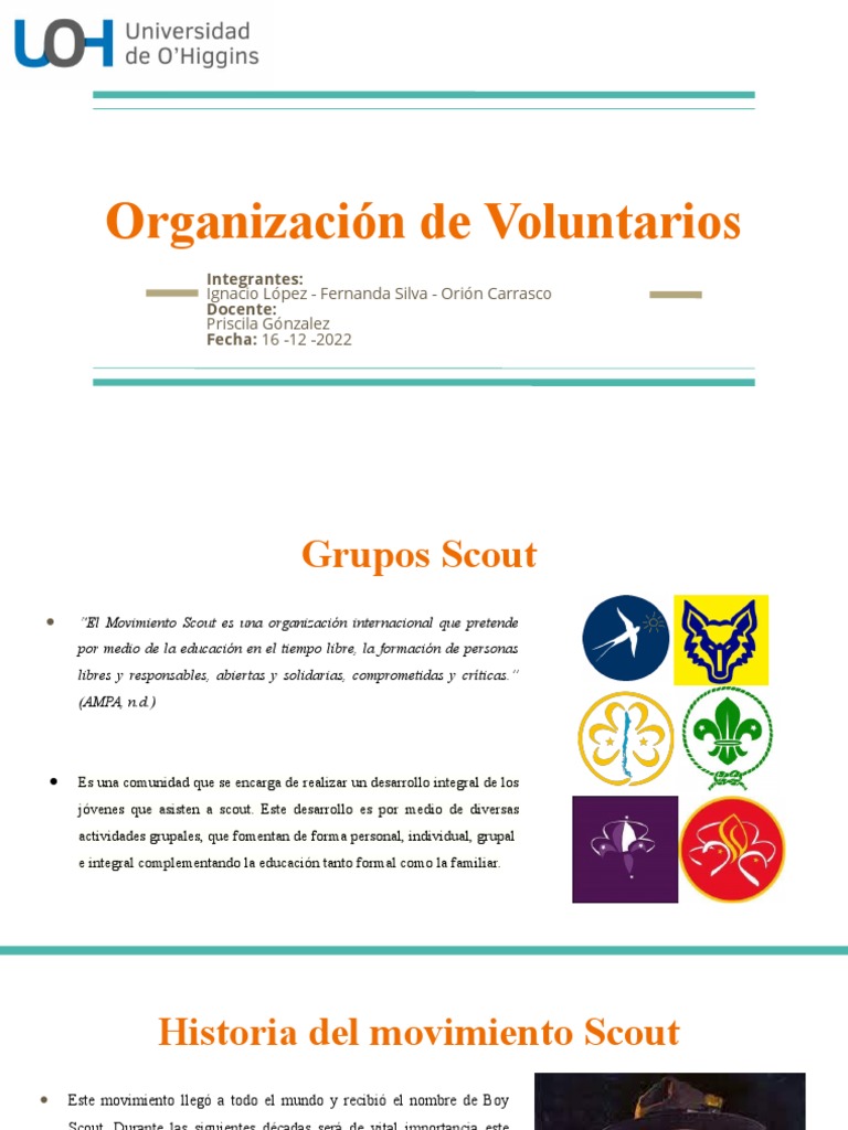 Organización de Voluntarios: Un resumen del funcionamiento y objetivos ...
