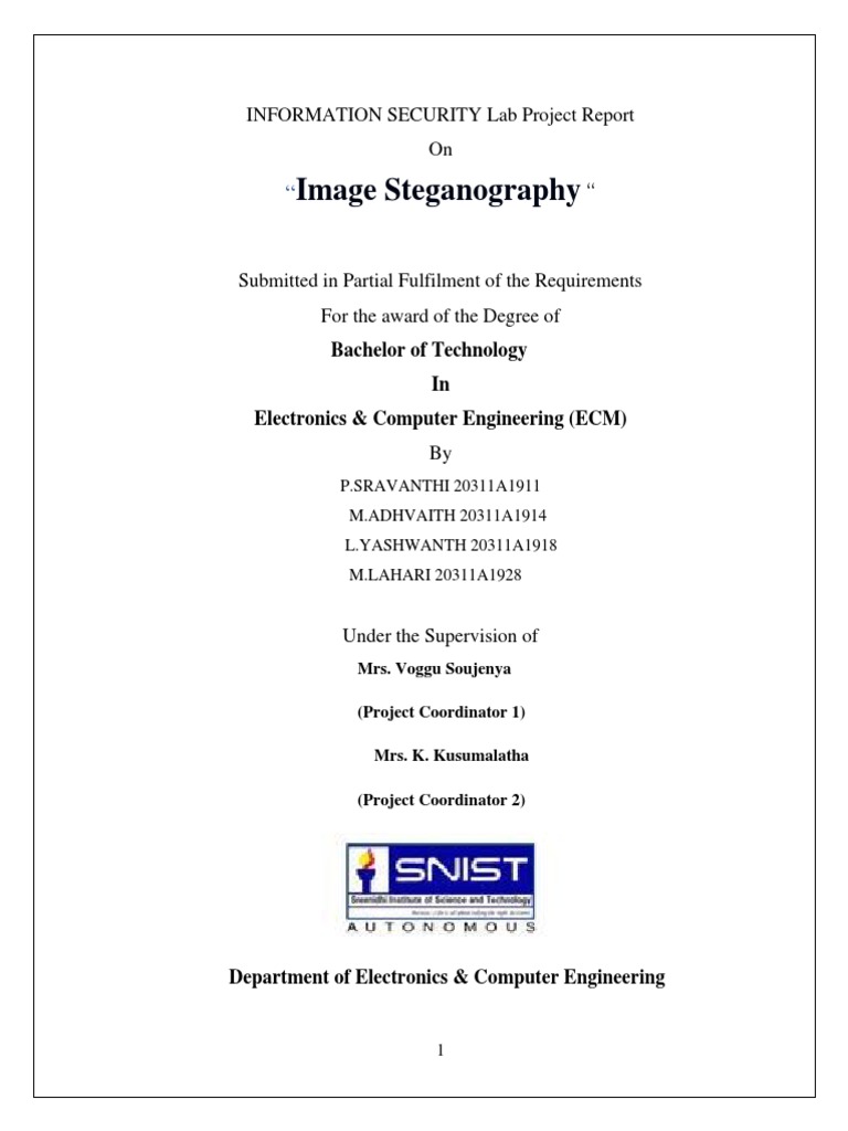 Isreport | PDF | Cryptography | Computer Data