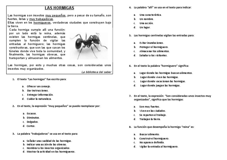 Las Hormigas Texto | PDF | Hormiga | Insectos
