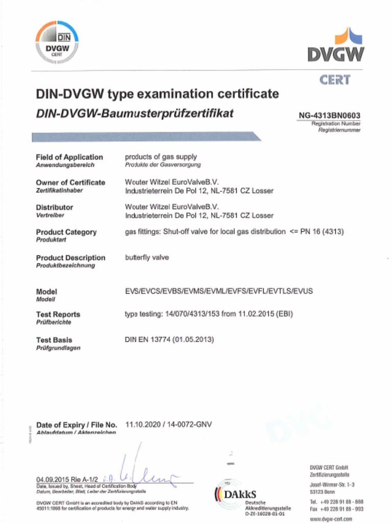 DVGW NG-4313BN0603 - Eurovalv | PDF