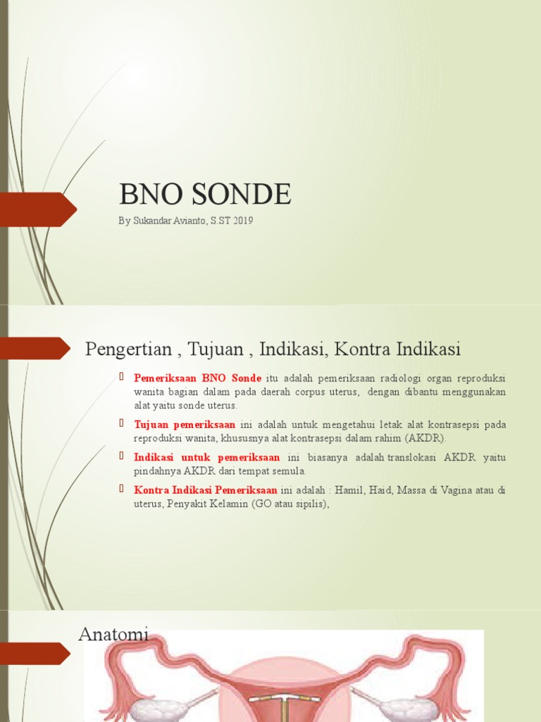 BNO SONDE EKSPLORESI | PDF