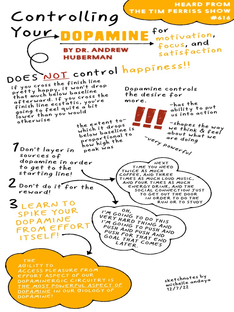 Sketchnote 1 Tim Ferris: Andrew Huberman | PDF | Dopamine