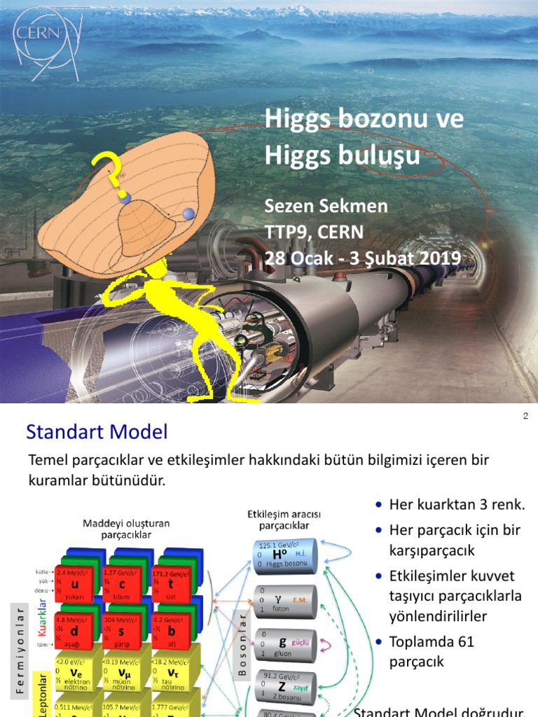 Higss Alanı | PDF