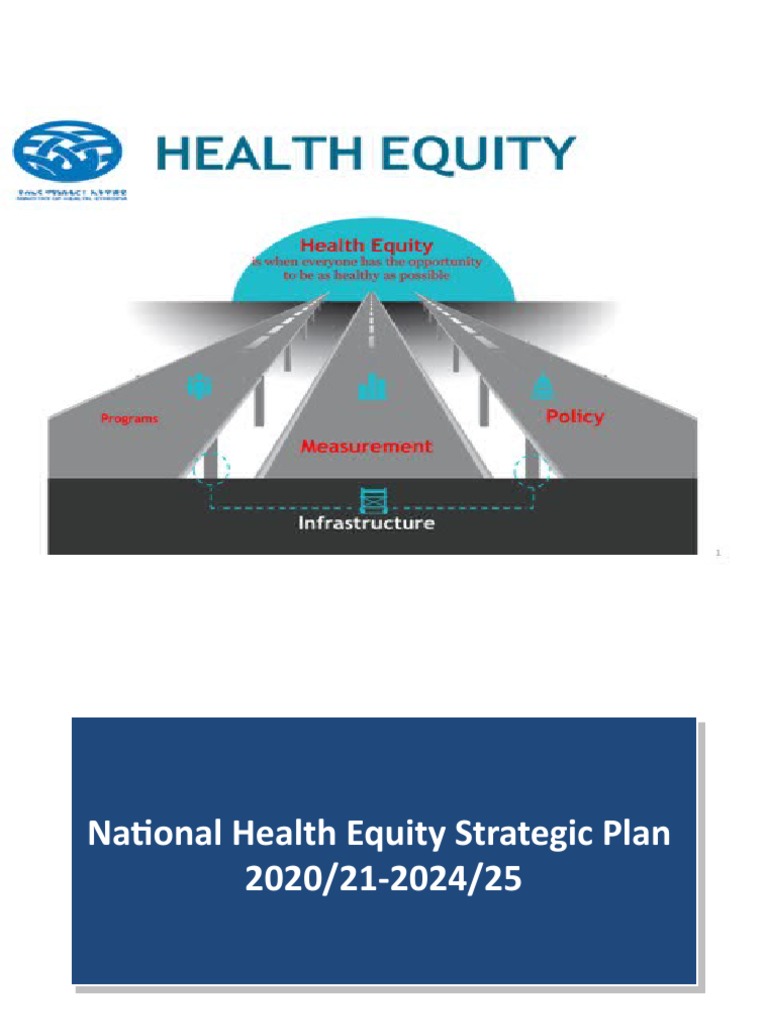 National Health Equity Strategic Plan 2020 - HPN - April2021 | PDF | Health Equity | Millennium ...