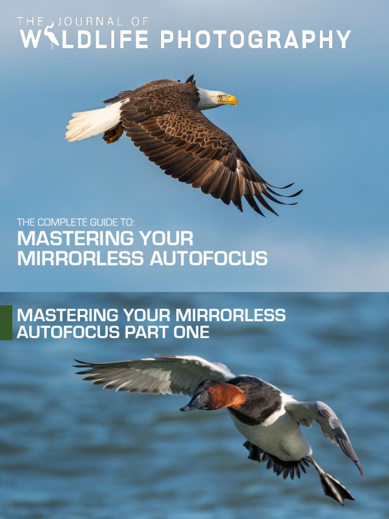 JWP Mastering Mirrorless AF | PDF | Autofocus | Digital Single Lens ...
