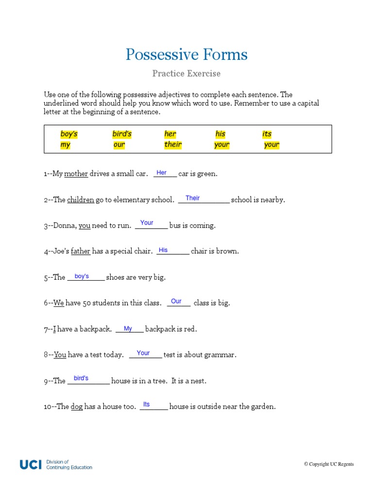 Pr6 - Possessive Forms Practice Exercise | PDF