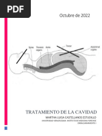 Putrefaccion y Fases | PDF | Descomposición | Especialidades Medicas