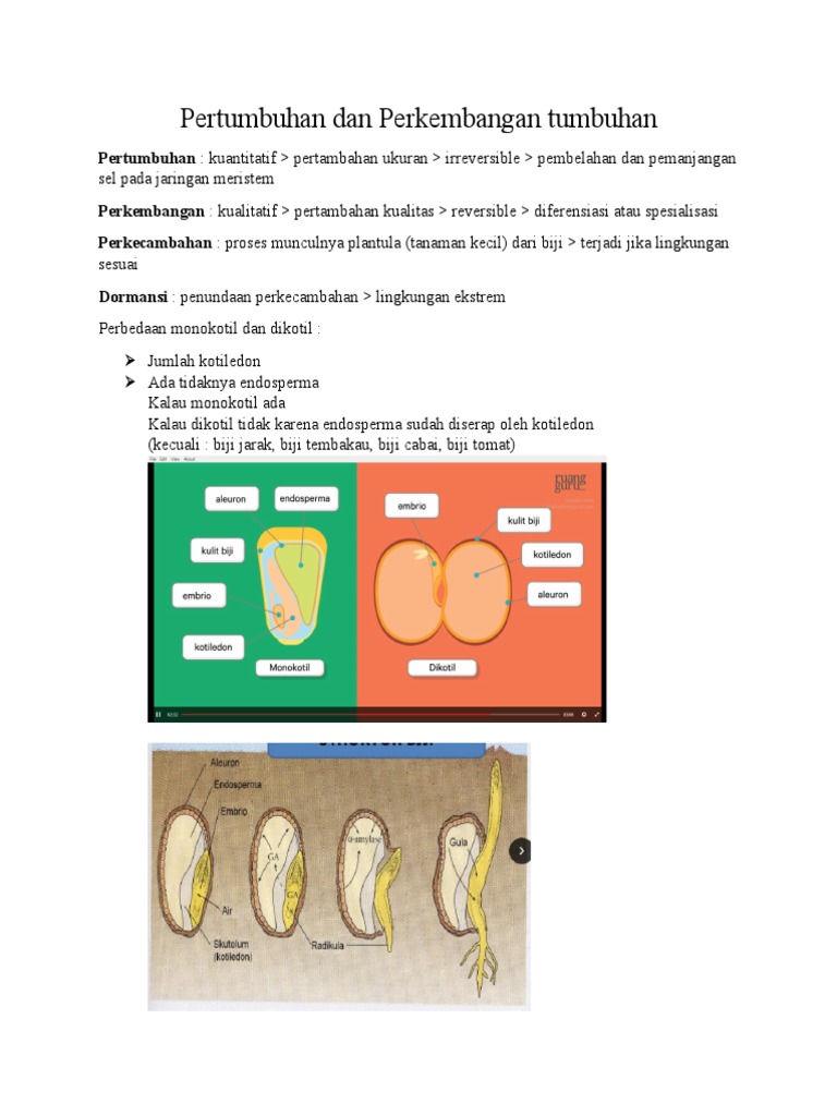 Rangkuman Pertumbuhan Dan Perkembangan Tumbuhan | PDF