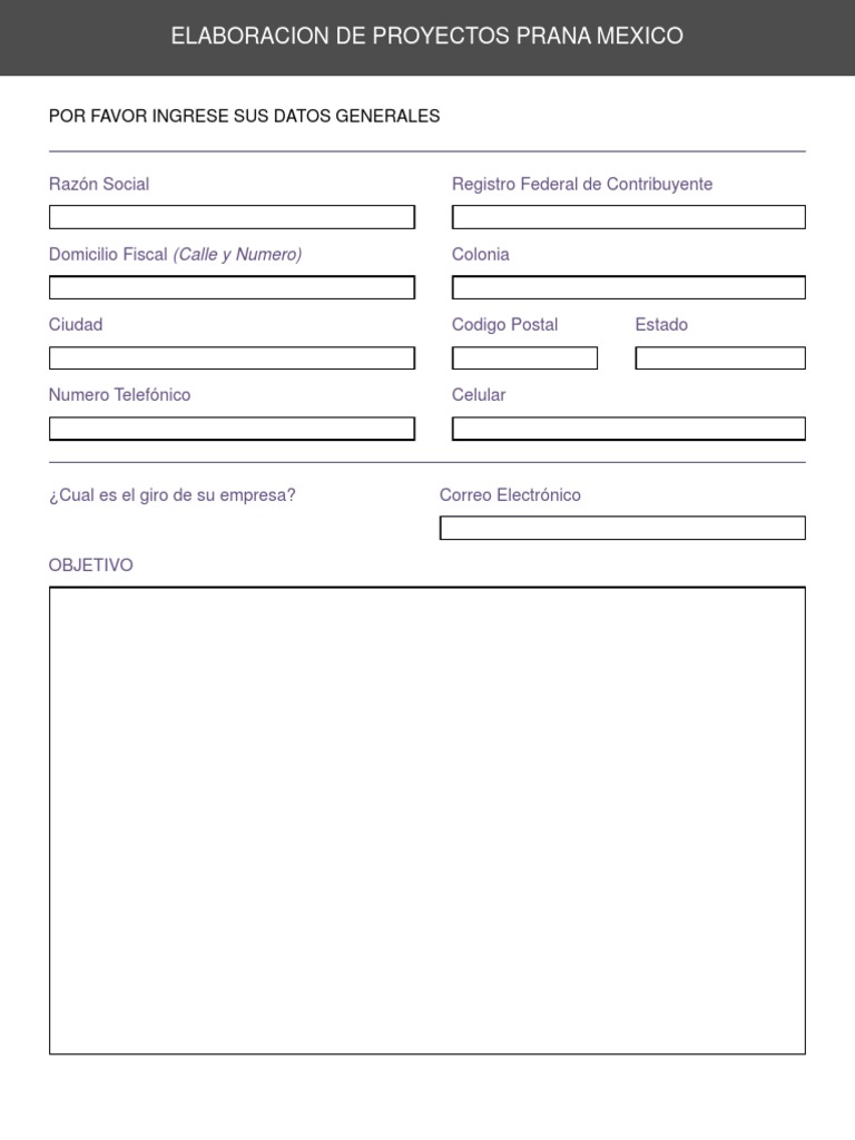 Formato para Elaboración de Proyectos | PDF