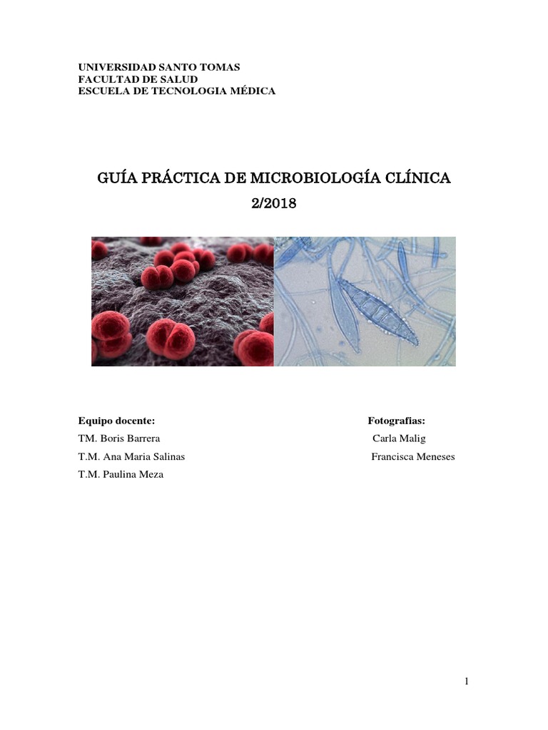 Guia Microbiologia Clinica | PDF | Estreptococo | Staphylococcus Aureus