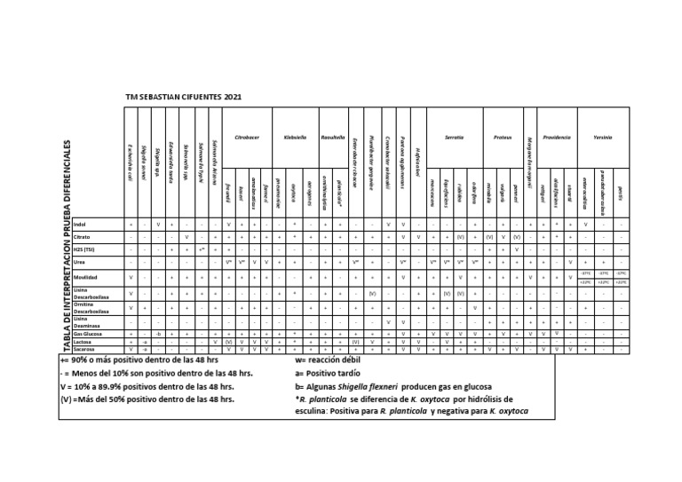 TABLA DE INTERPRETACION ENTEROBACTERIAS | PDF | Procariota | Microorganismo