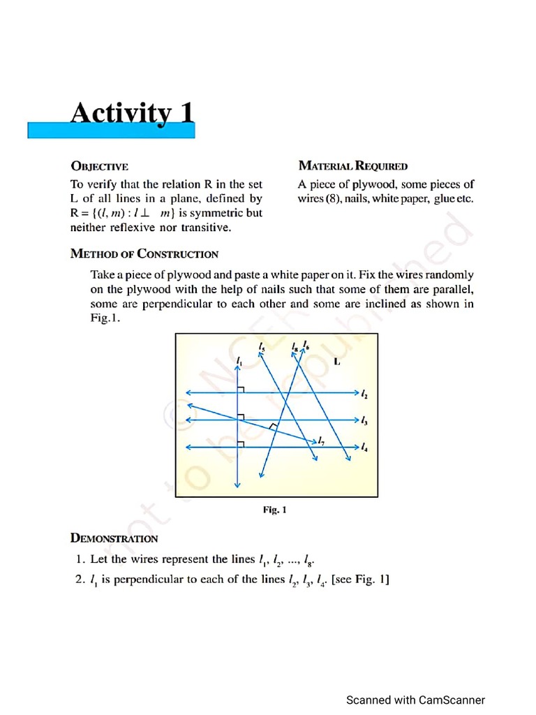 Class 12 Maths Activity 1 - 9 | PDF