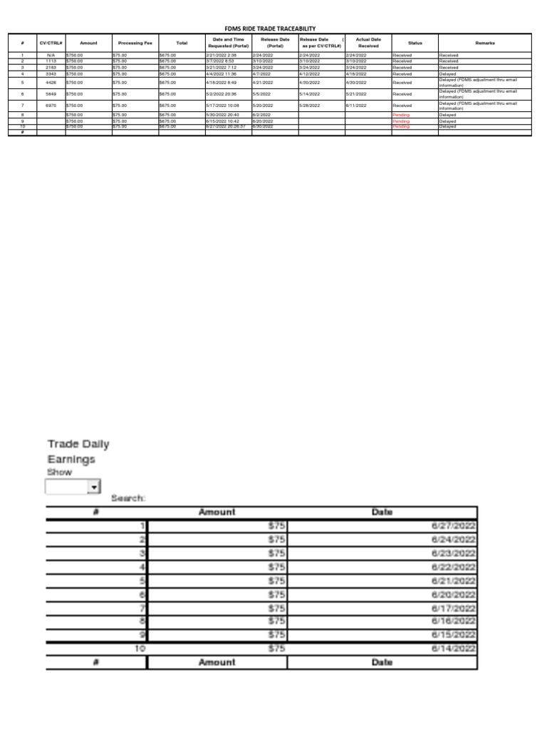 FDMS Payment Processing Overview | PDF