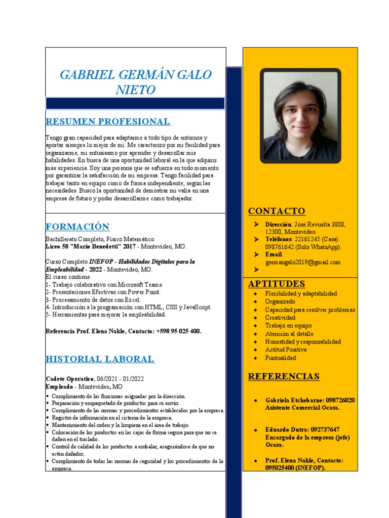 CV Gabriel Germán - Galo Nieto | PDF | Business | Informática