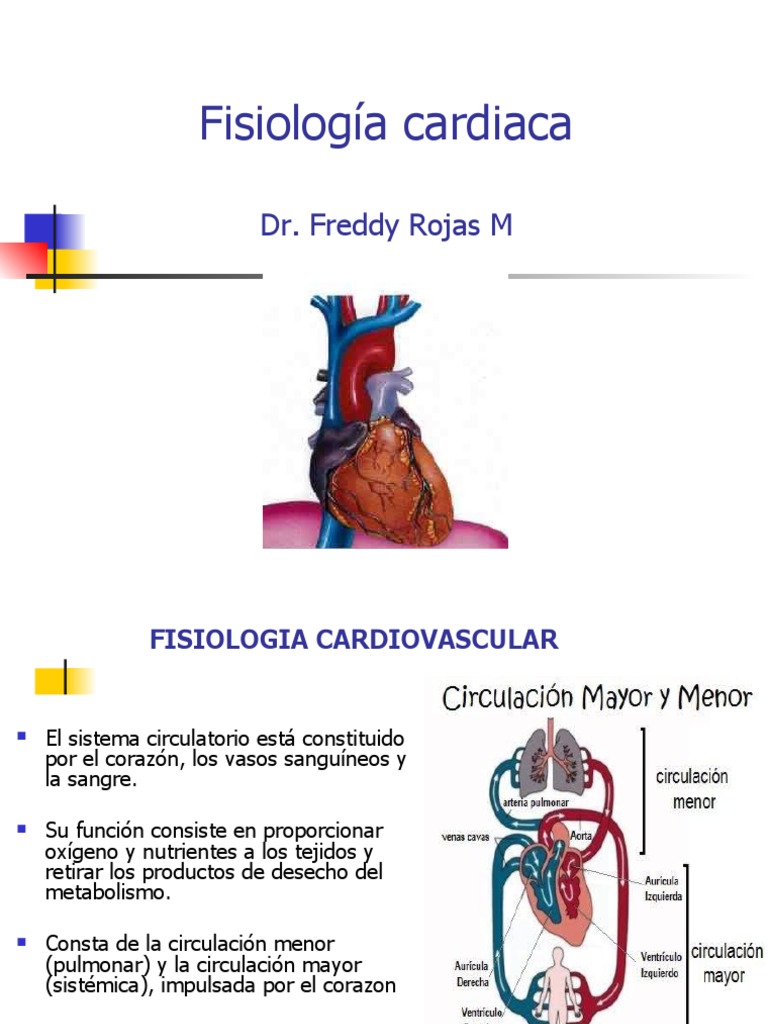 Cap-_9_(Musculo_Cardiaco_el_Corazon)_(5) | PDF | Sistema circulatorio | Corazón