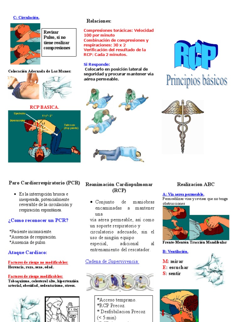 Guía RCP Básica y Cadena de Supervivencia | PDF | Reanimación ...
