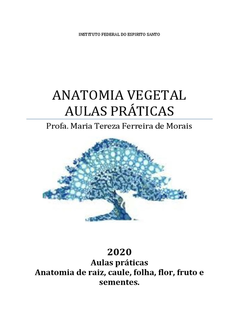 Apostila de Aula Prática - ANATOMIA VEGETAL - Aluno | PDF | Microscópio ...