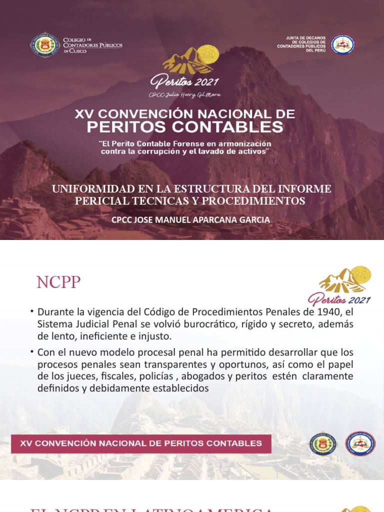 Uniformidad En La Estructura Del Informe Pericial Tecnicas Y