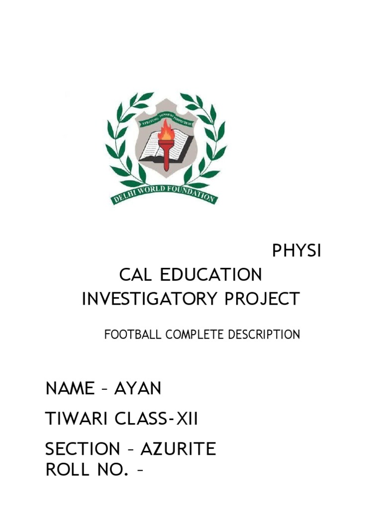 Class 12 Football Project Overview | PDF | Association Football ...