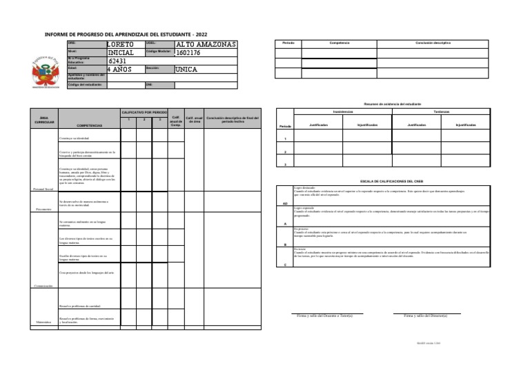 Informe de Progreso 4 AÑOS - INICIAL | PDF | Modificación de ...