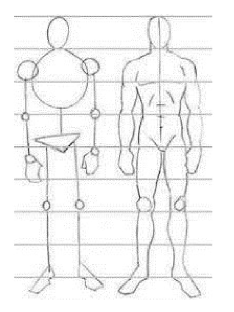 Dibujo De Cuerpo Pdf