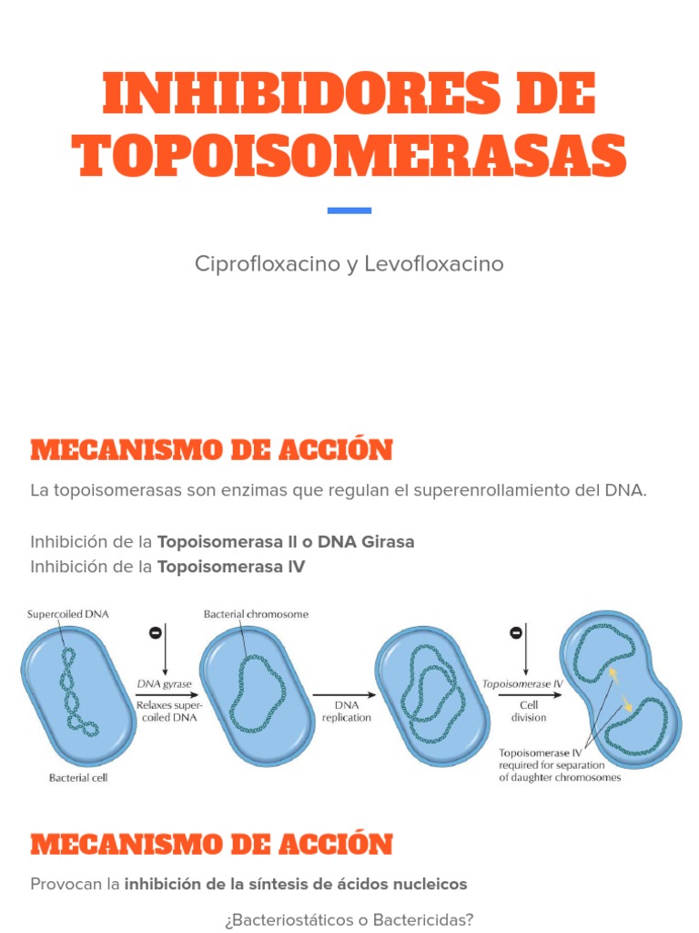 Inhibidores de Topoisomerasas | PDF | Medicina CLINICA | Ciencias ...
