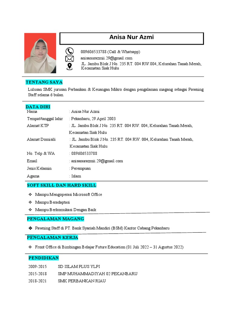 Profil Anisa Nur Azmi | PDF