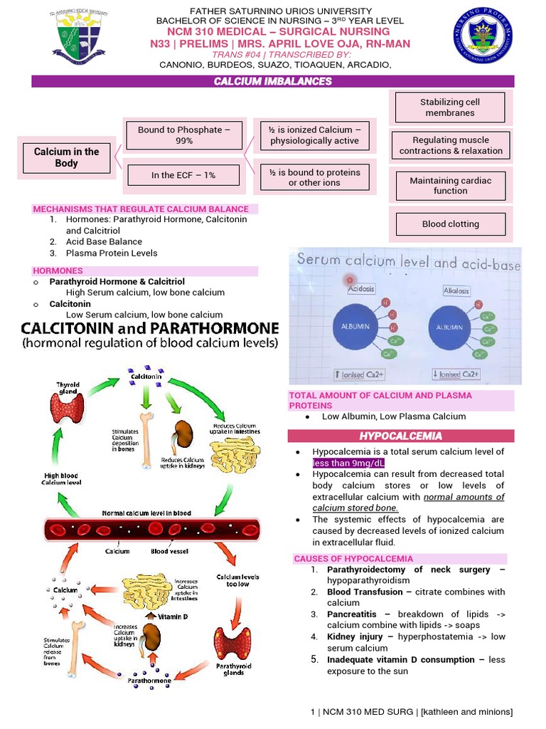 Canonio t4 Calcium Magnesium Imbalances Medsurg | Descargar gratis PDF ...