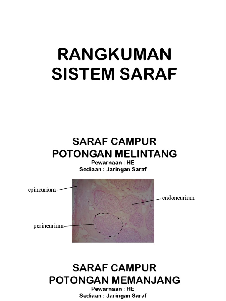 Praktikum Histologi Jaringan Saraf Upgrade | PDF