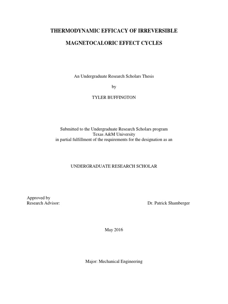 Thermodynamic Efficacy of Irreversible Magnetocaloric Effect Cycles ...