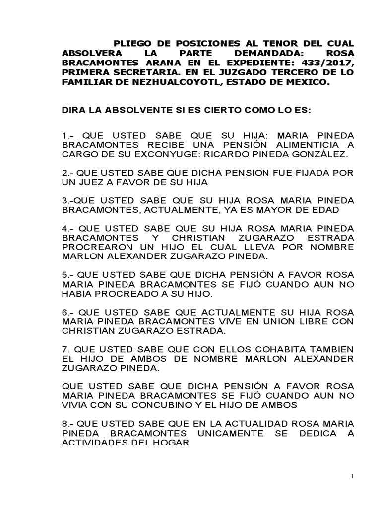 Pliego de Posiciones Machote | PDF