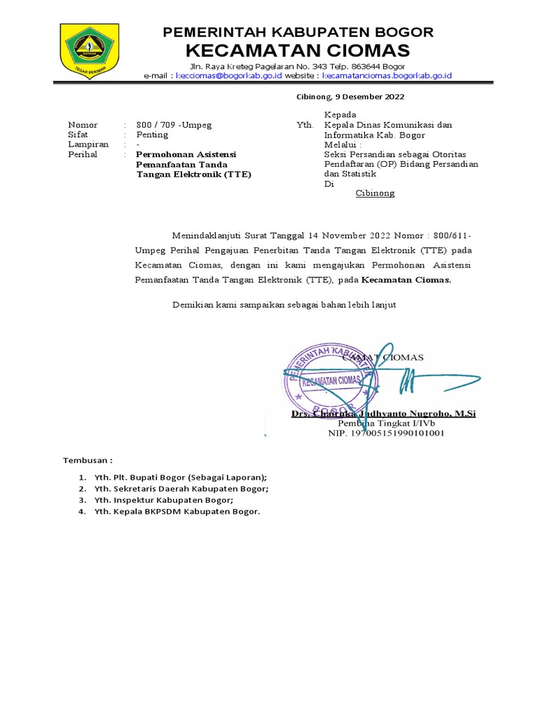 Surat Permohonan Asistensi TTE Kecamatan Ciomas | PDF