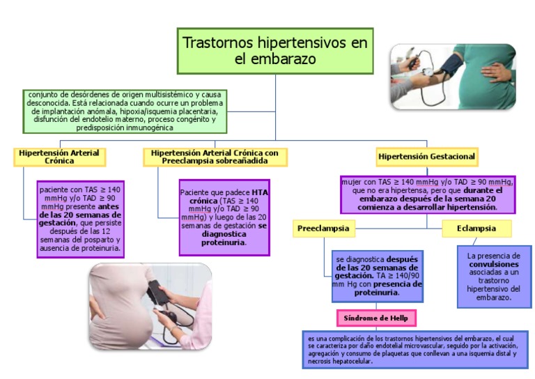 Trastornos Hipertensivos en Embarazo - Mapa Conceptual | PDF | Obstetricia | Embarazo humano