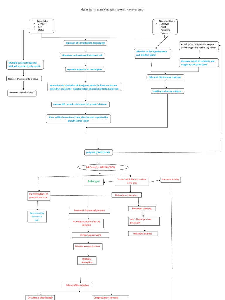 Pathophysiology of Intestinal Obstruction | PDF | Necrosis ...