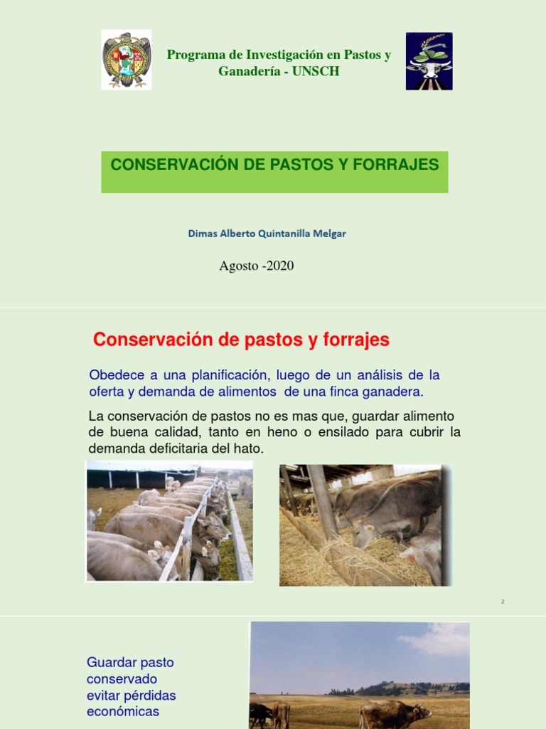 Conservacion de Pastos y Forrajes 2020 | PDF | Pasto | Agricultura