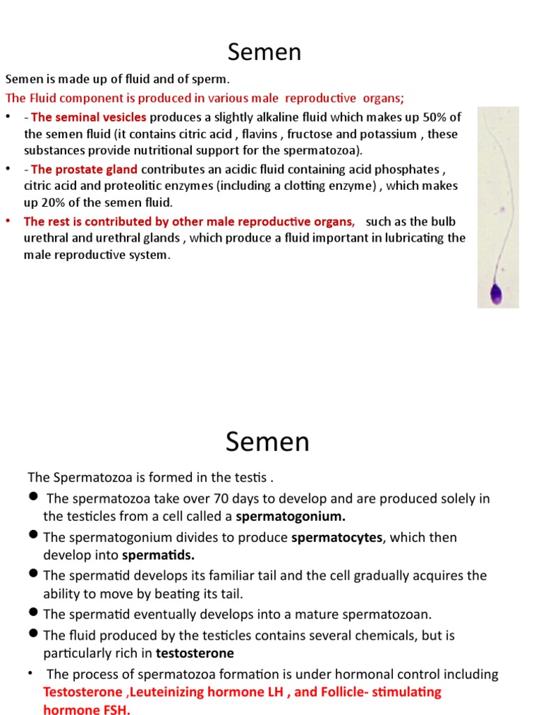 Semen FFF | PDF | Semen | Human Reproduction