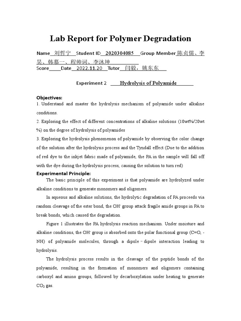 Lab Report 2 | Download Free PDF | Hydrolysis | Chemistry