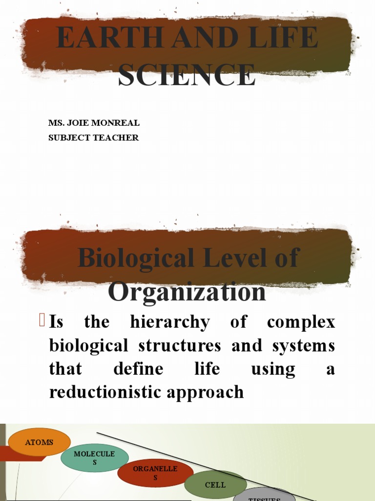 Levels of Organization | PDF | Life | Organisms
