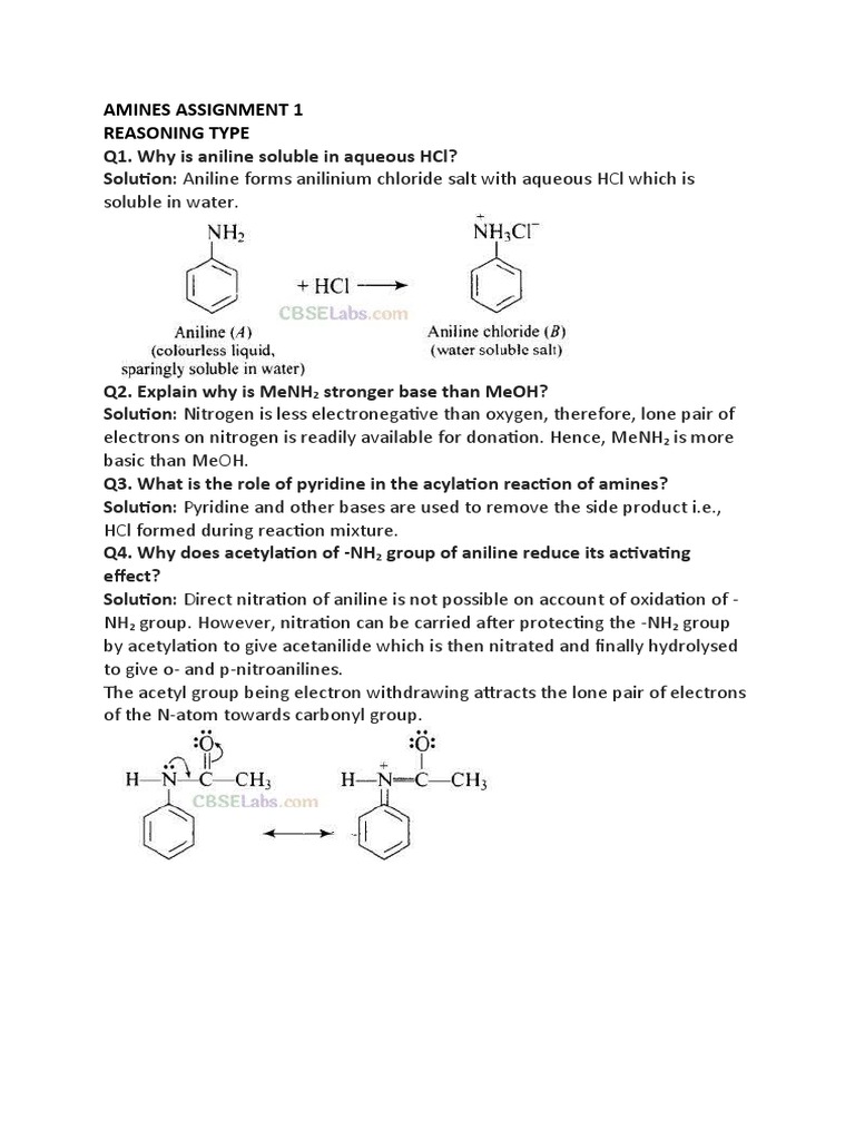 Amines: Solubility and Reactivity | PDF | Amine | Aromaticity
